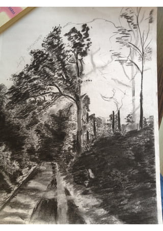 Anna Pan Portfolio | PDF