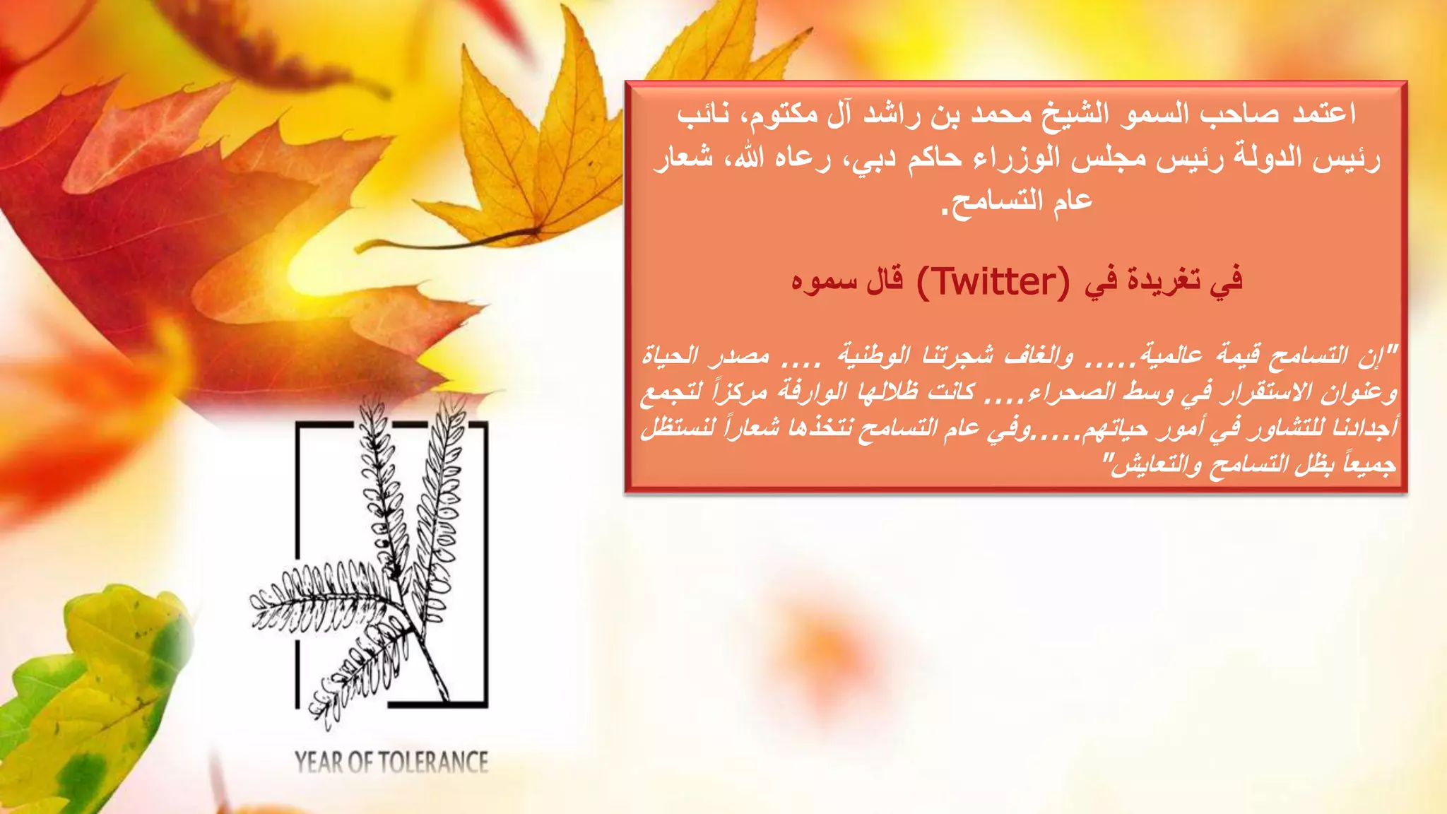 Year of tolerance uae Bashar Malkawi | PPTX
