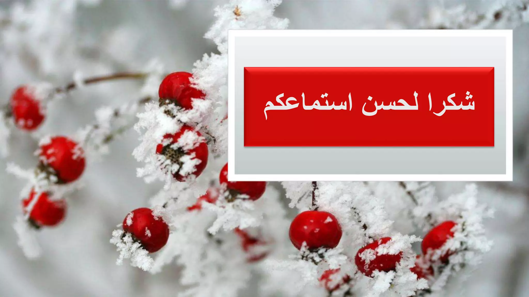 Year of tolerance uae Bashar Malkawi | PPTX