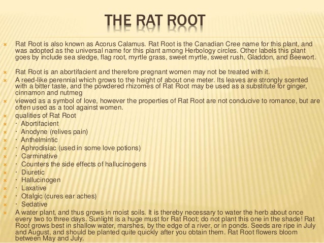 Year Review-HERBOLOGY 101