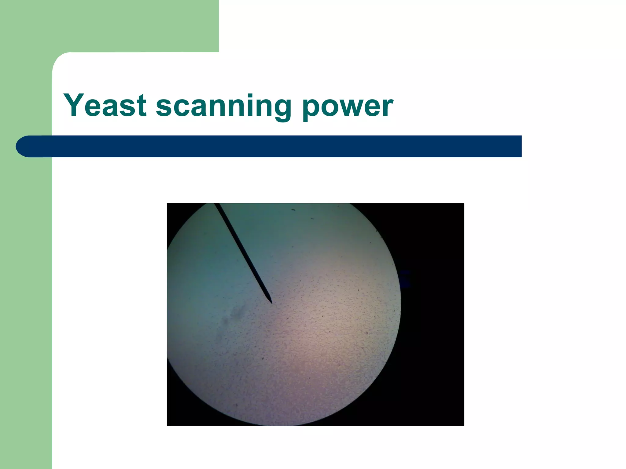 Yeast | PPT