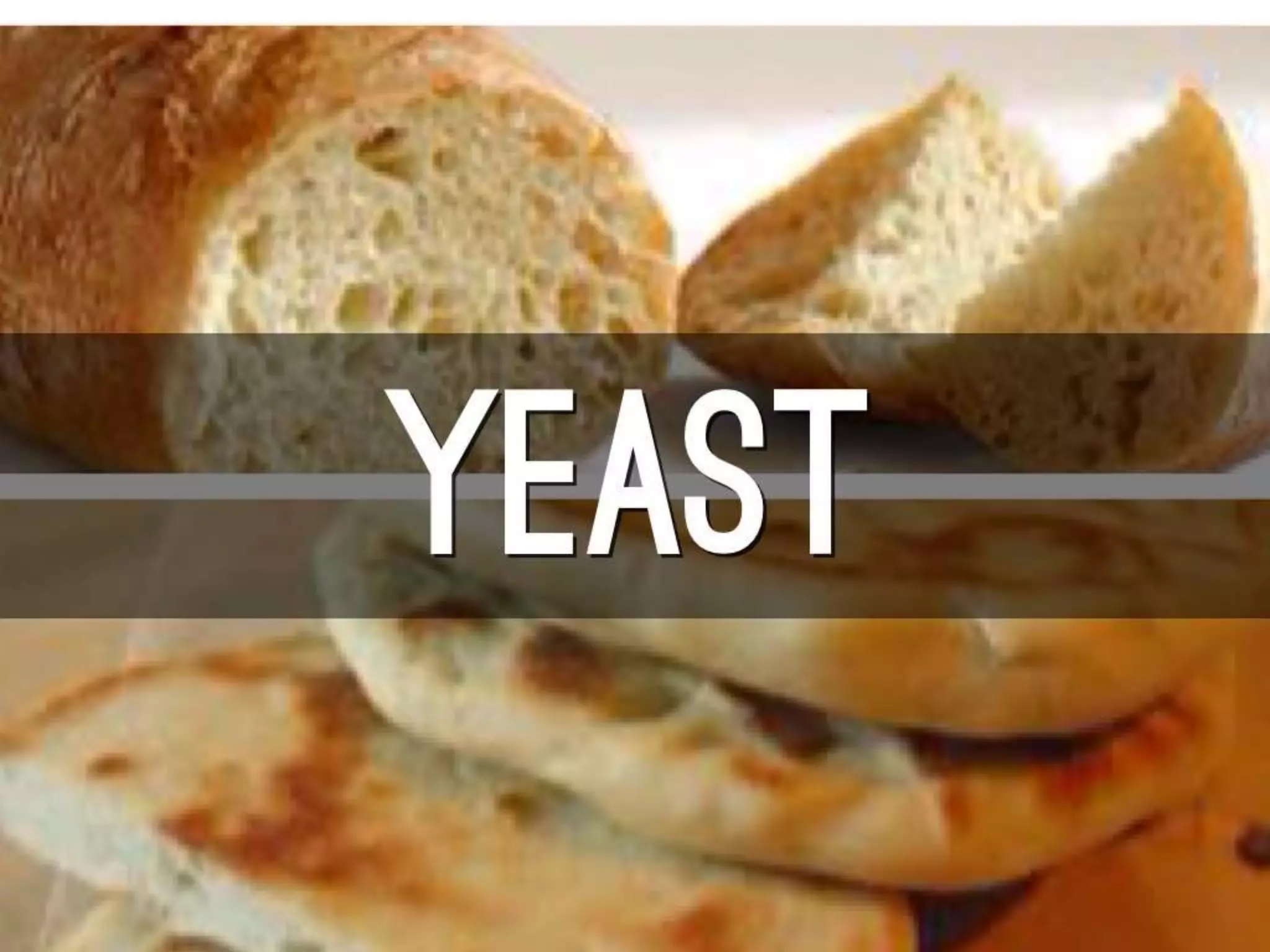 Yeast | PPTX