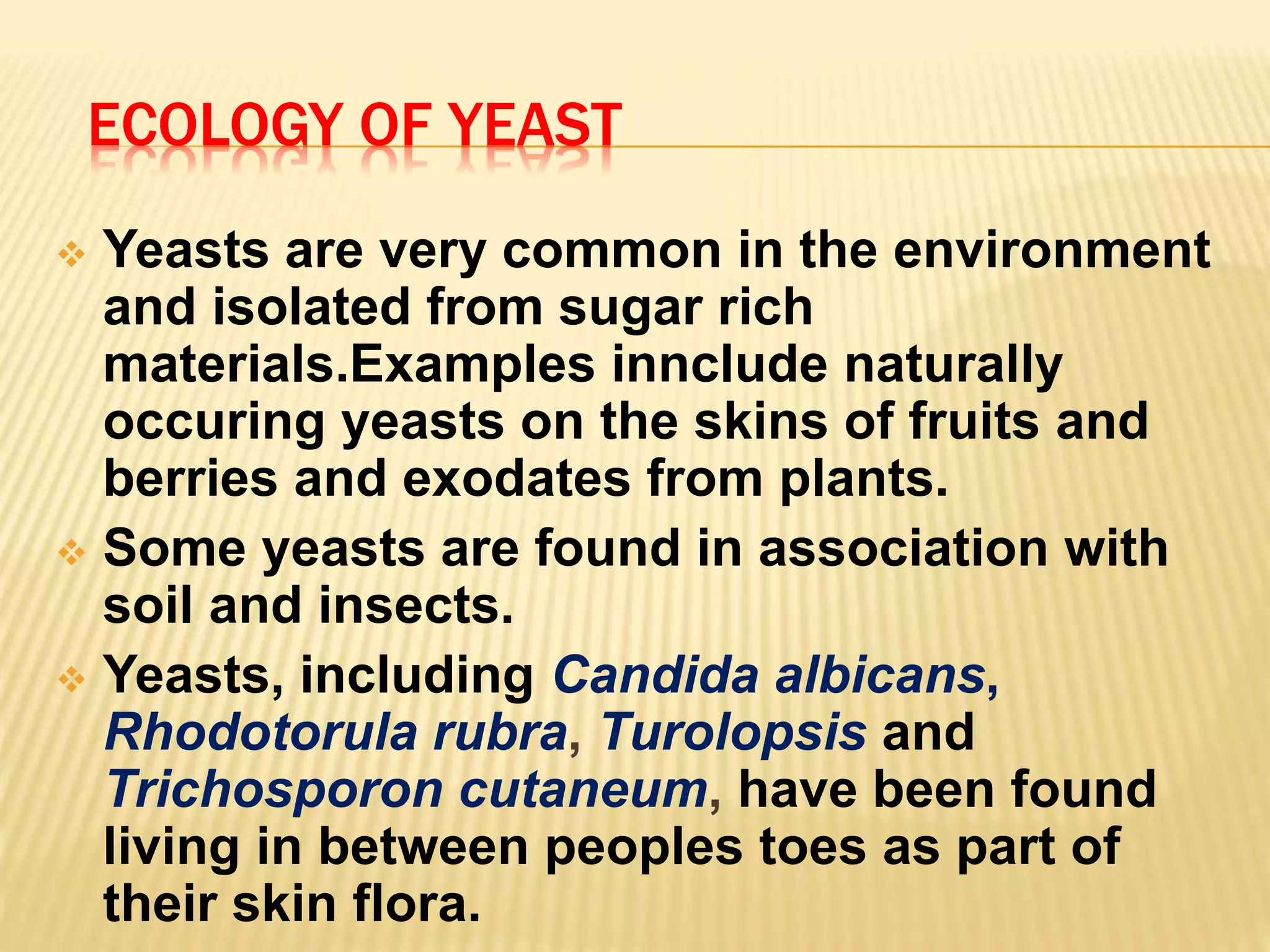 Yeast | PPTX