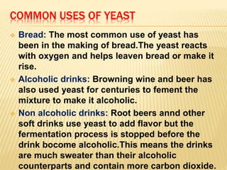 Yeast | PPTX