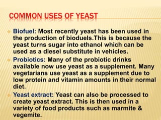Yeast | PPTX