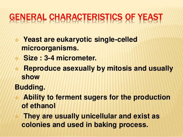 Yeast