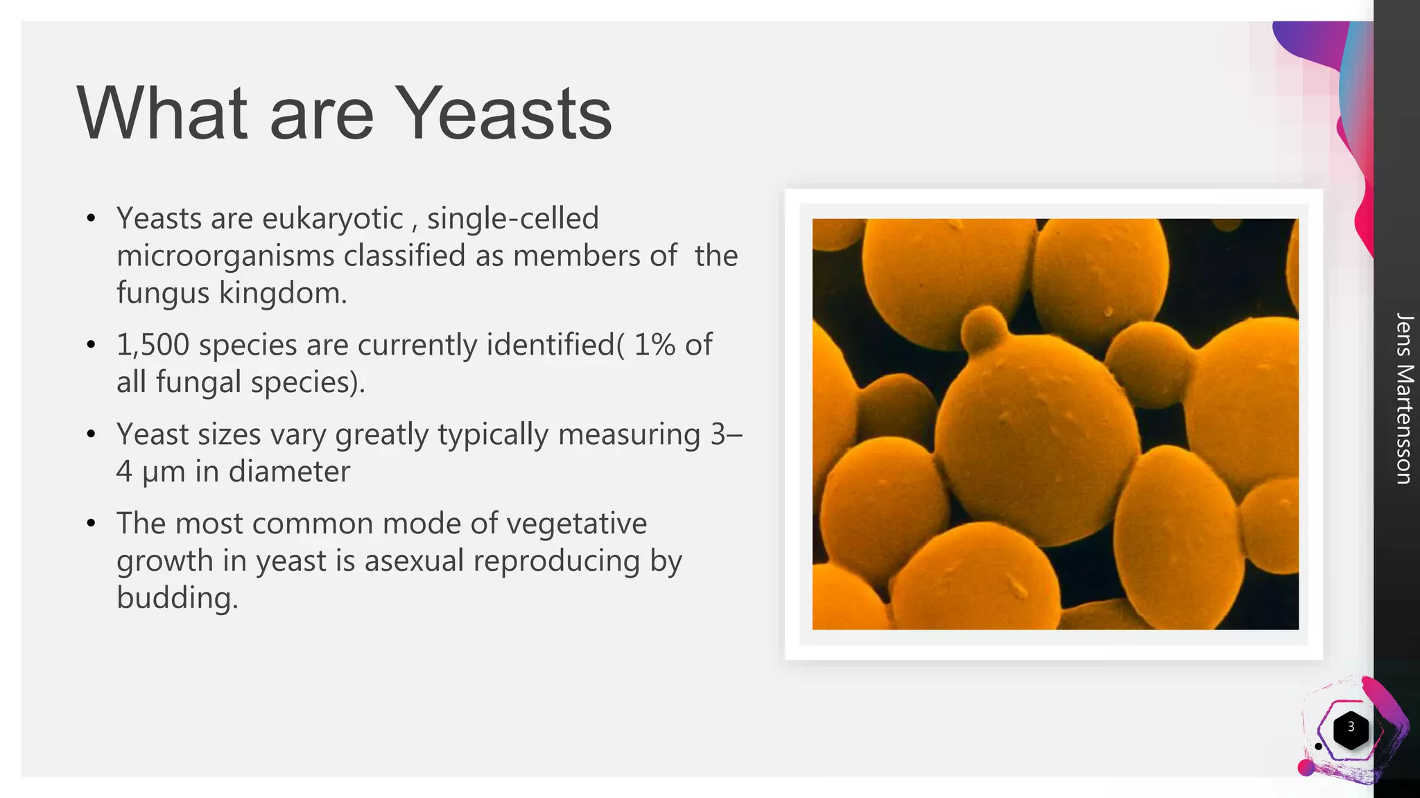 Yeasts and their uses | PPTX