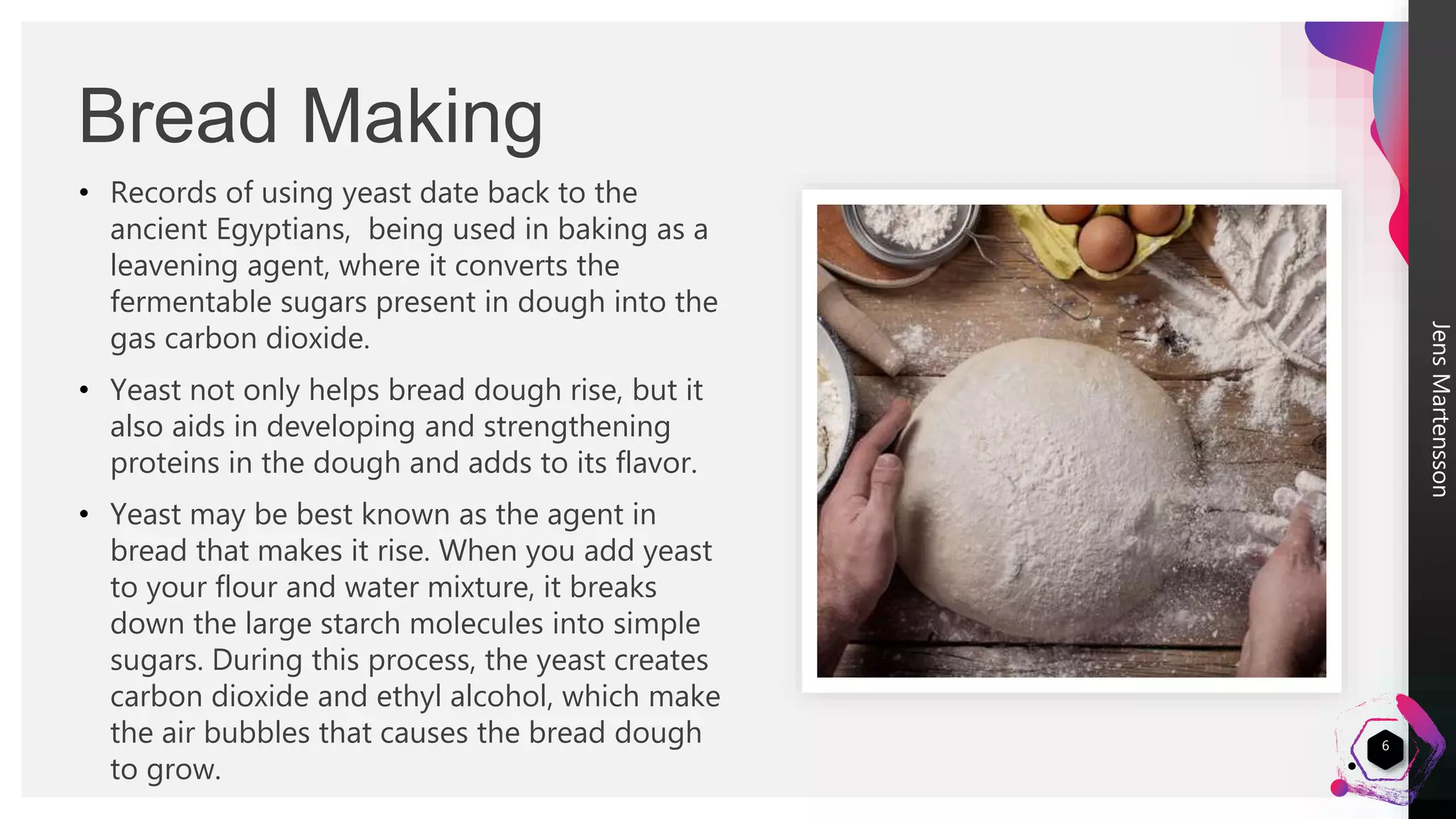 Yeasts and their uses | PPTX