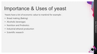 Yeasts and their uses | PPTX