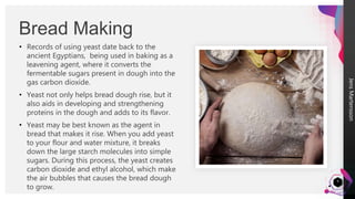 Yeasts and their uses | PPTX