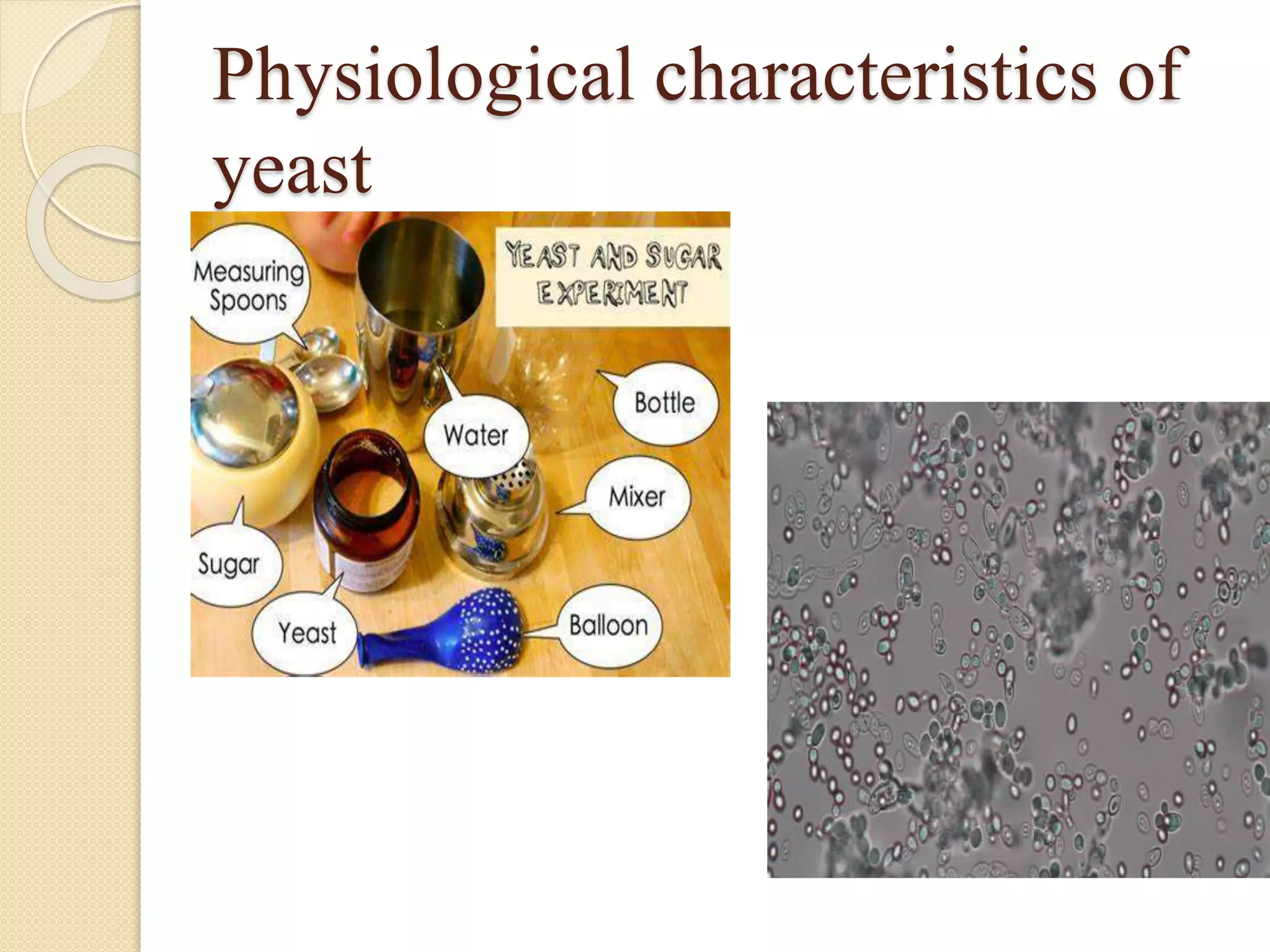 Yeast | PPTX