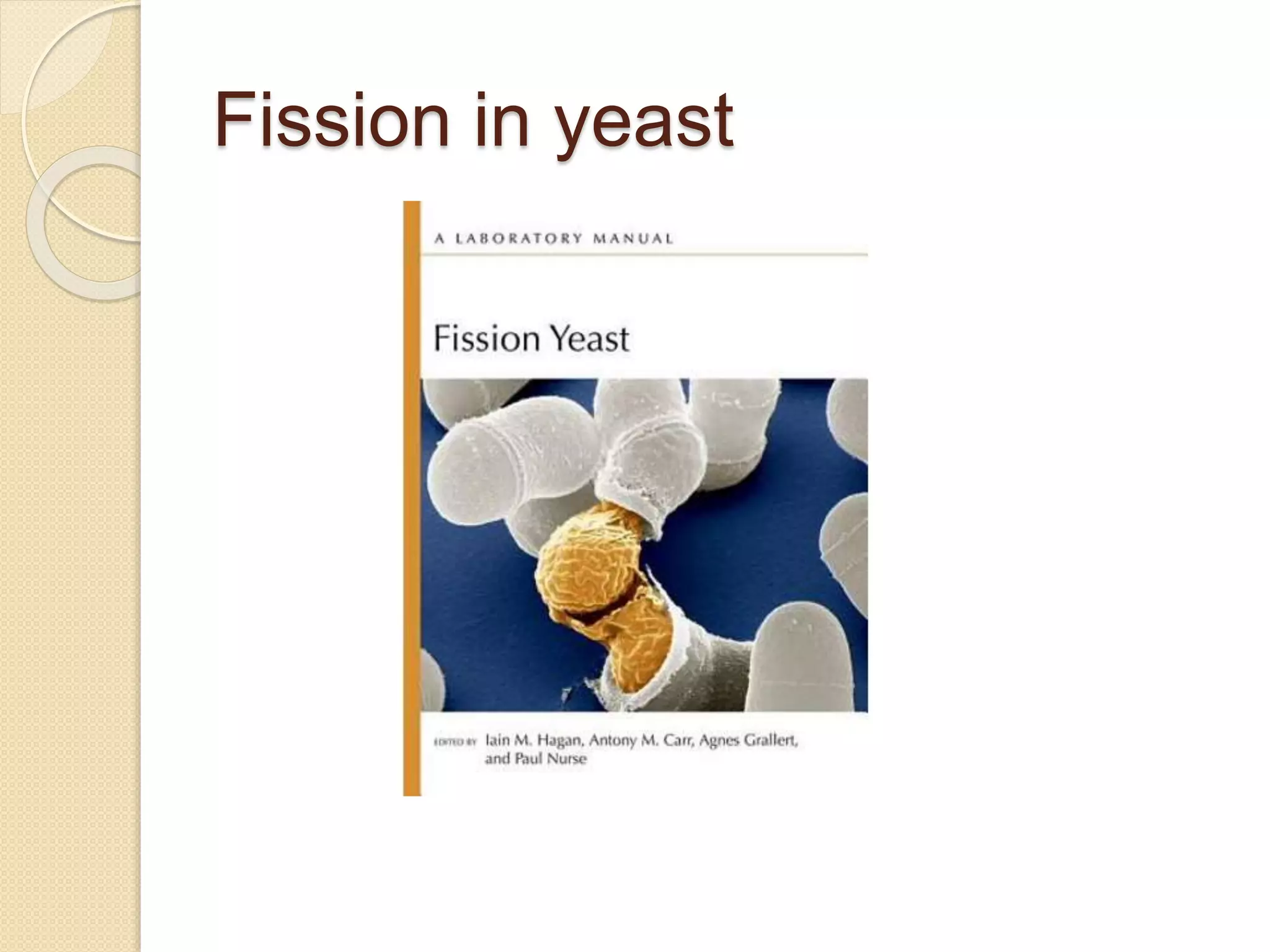 Yeast | PPTX