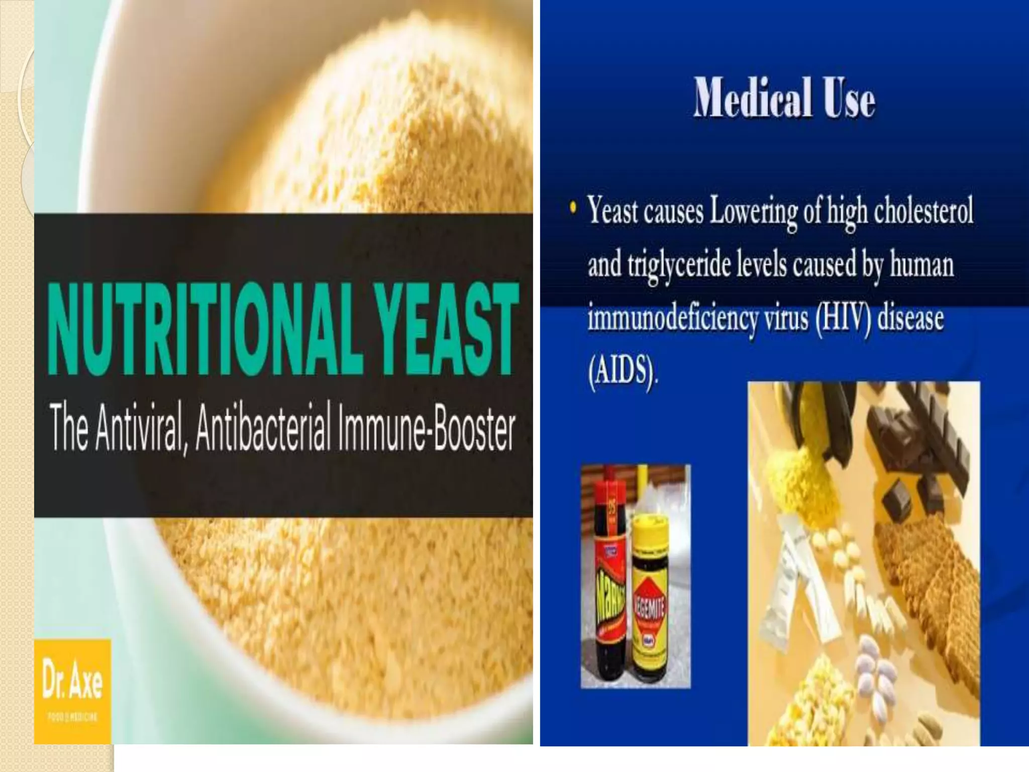 Yeast | PPTX