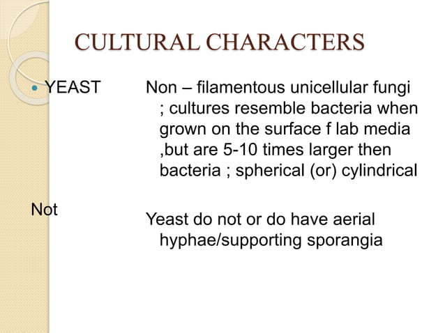 Yeast | PPTX