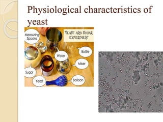 Yeast | PPTX