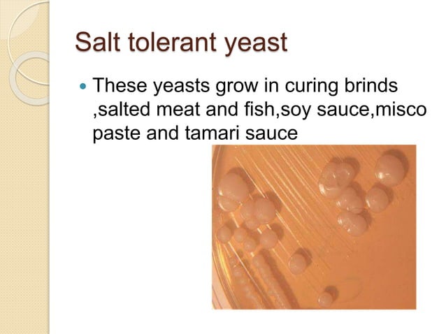 Yeast | PPTX