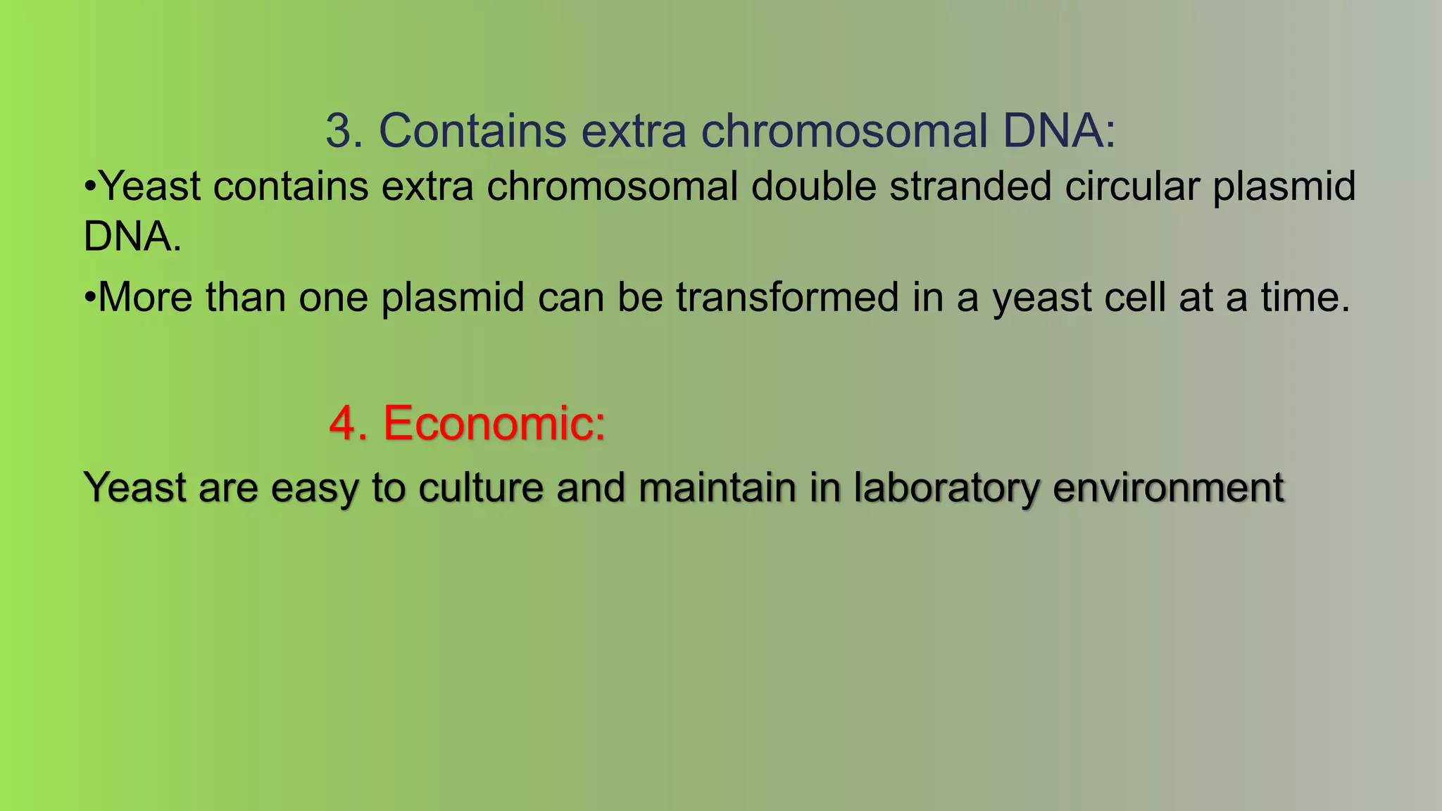 Yeast | PPTX