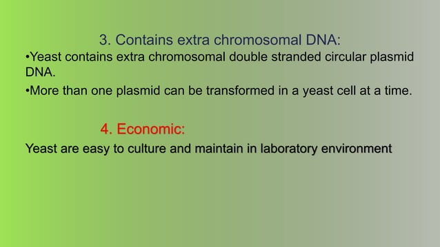 Yeast | PPT