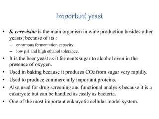 yeast.pdf