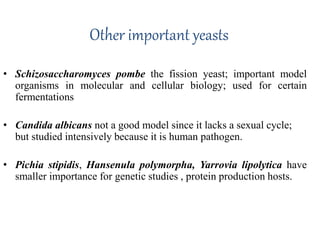 yeast.pdf