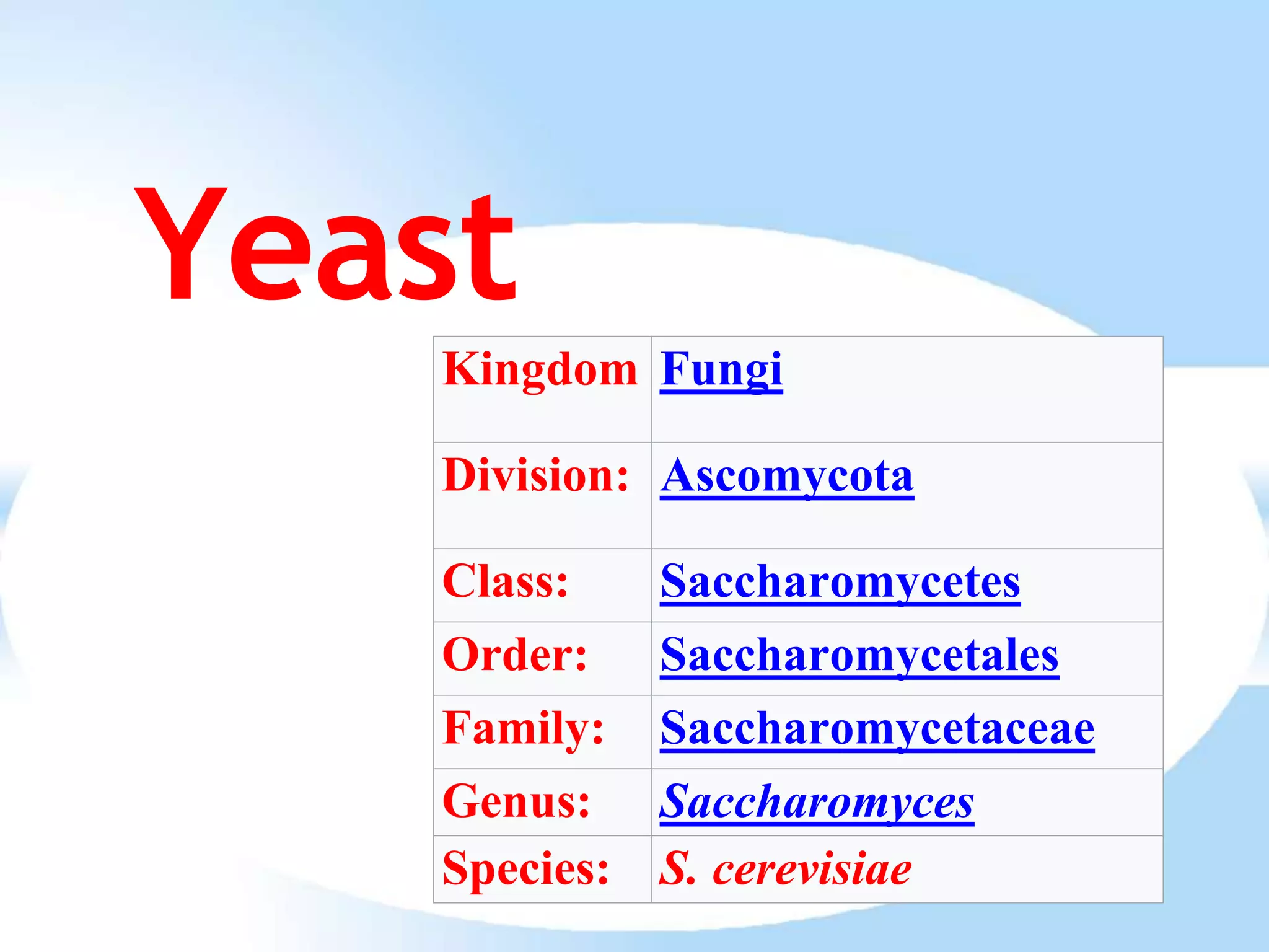 Yeast.pptx