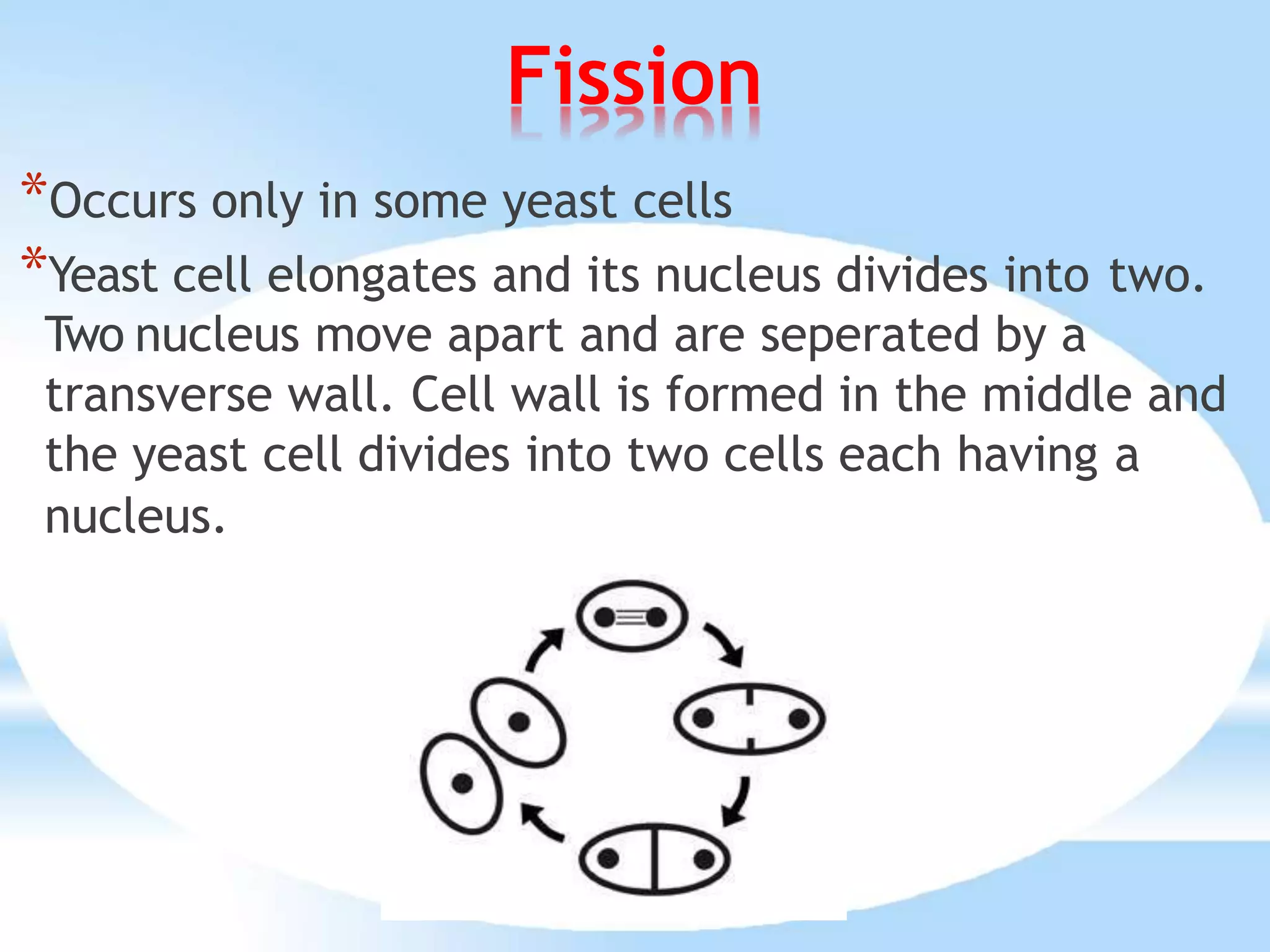 Yeast.pptx
