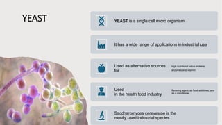 Yeast all about and its details in presentation | PPTX