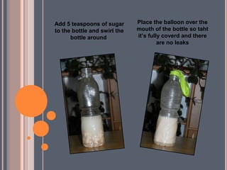 Yeast air balloon | PPT