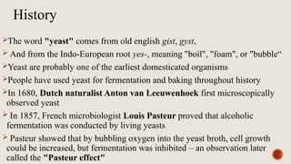 What are yeast, types, classification and examples | PPTX