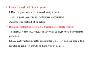 cloning and expression system in yeast | PPTX