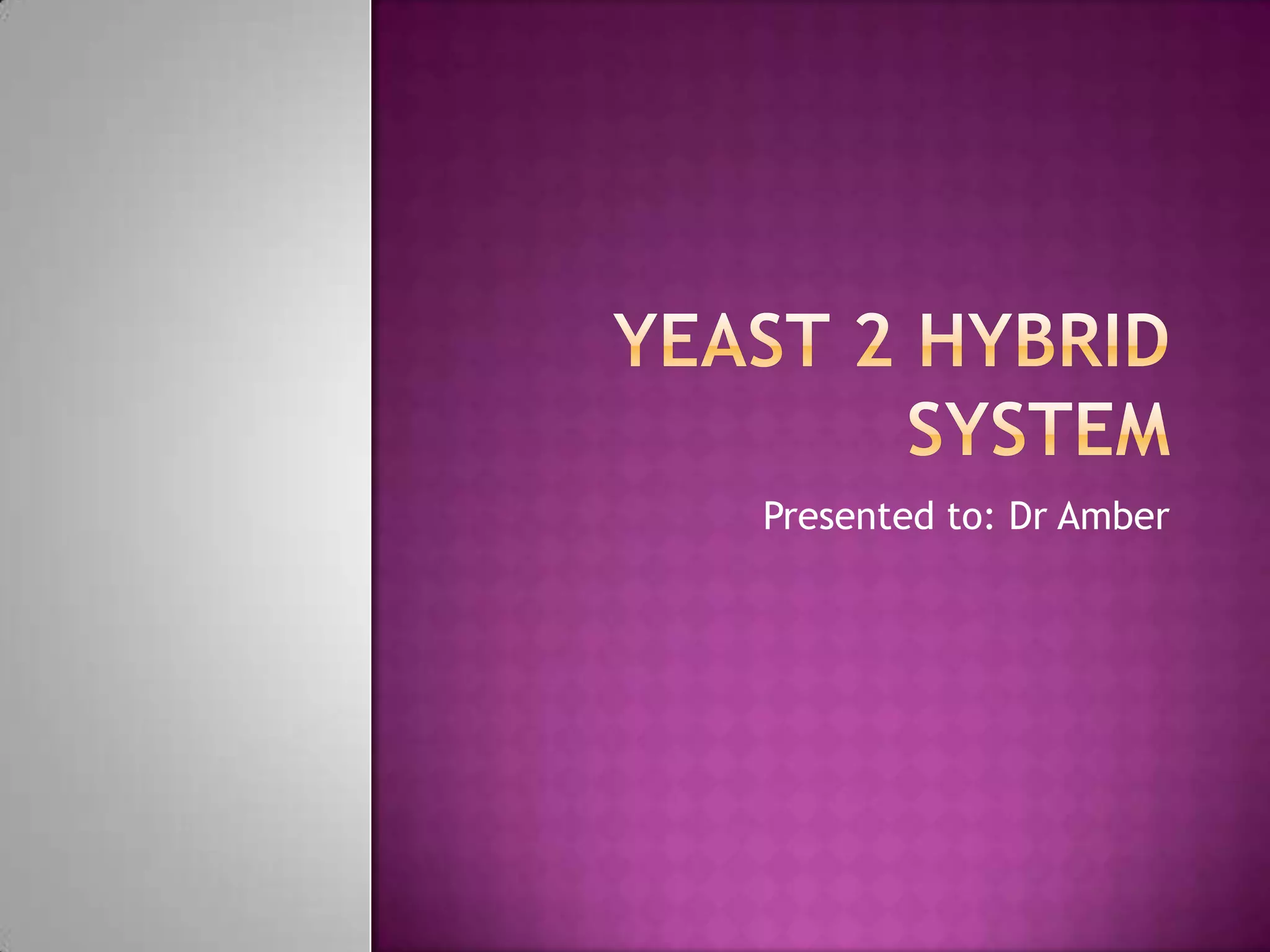 Yeast 2 hybrid system ppt by meera qaiser | PPTX | Biological Sciences | Science