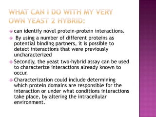 Yeast 2 hybrid system ppt by meera qaiser | PPTX | Biological Sciences ...