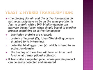 Yeast 2 hybrid system ppt by meera qaiser | PPTX | Biological Sciences ...