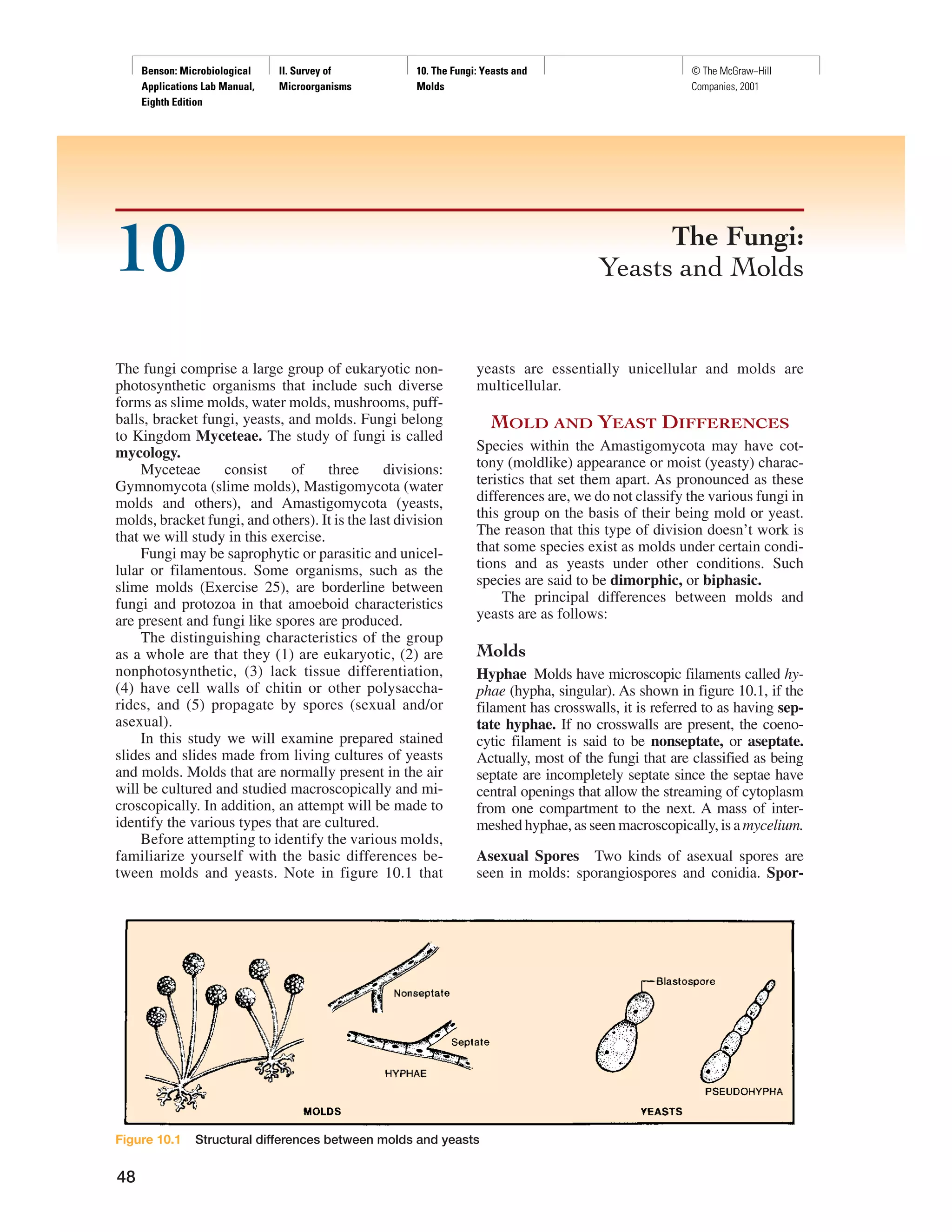 Yeast and molds | PDF