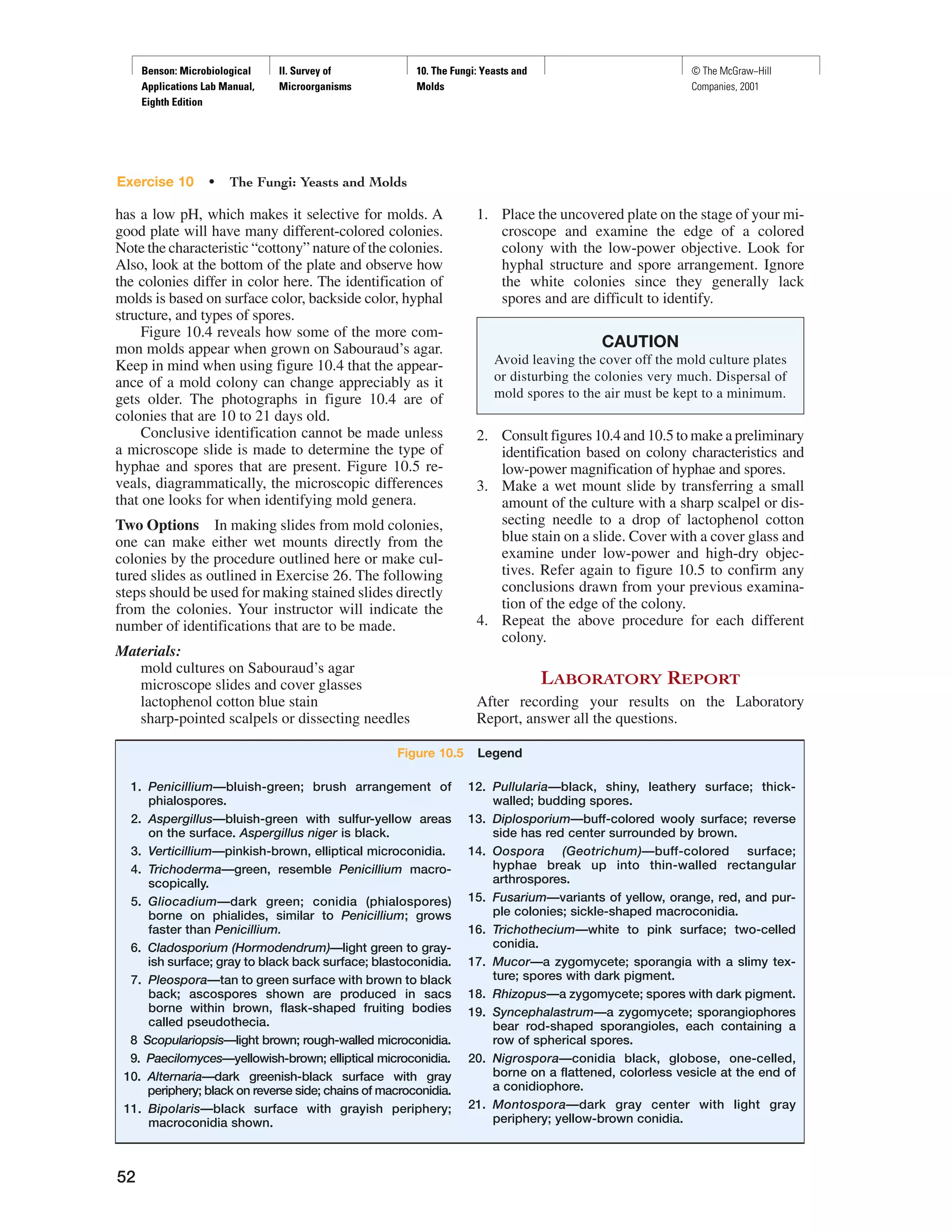 Yeast and molds | PDF