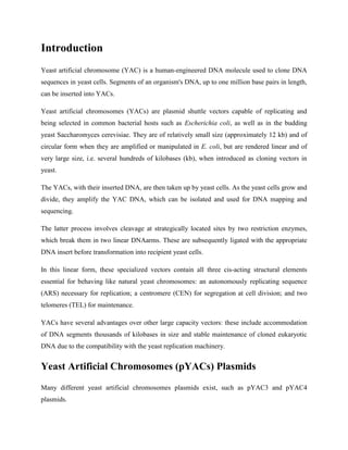 Yeast Artificial Chromosome (YAC) | PDF