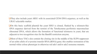 Yeast Artificial Chromosome | PPTX