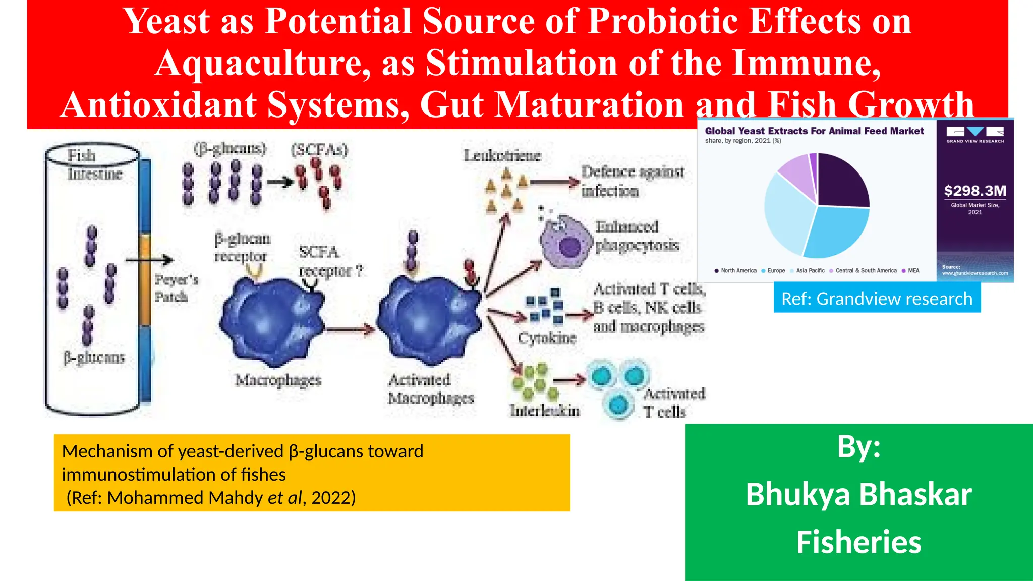 Yeast as Potential source of Sustainable fish feed by B.pptx