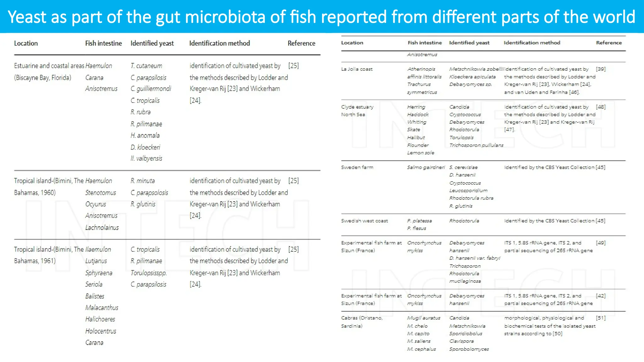 Yeast as Potential source of Sustainable fish feed by B.pptx