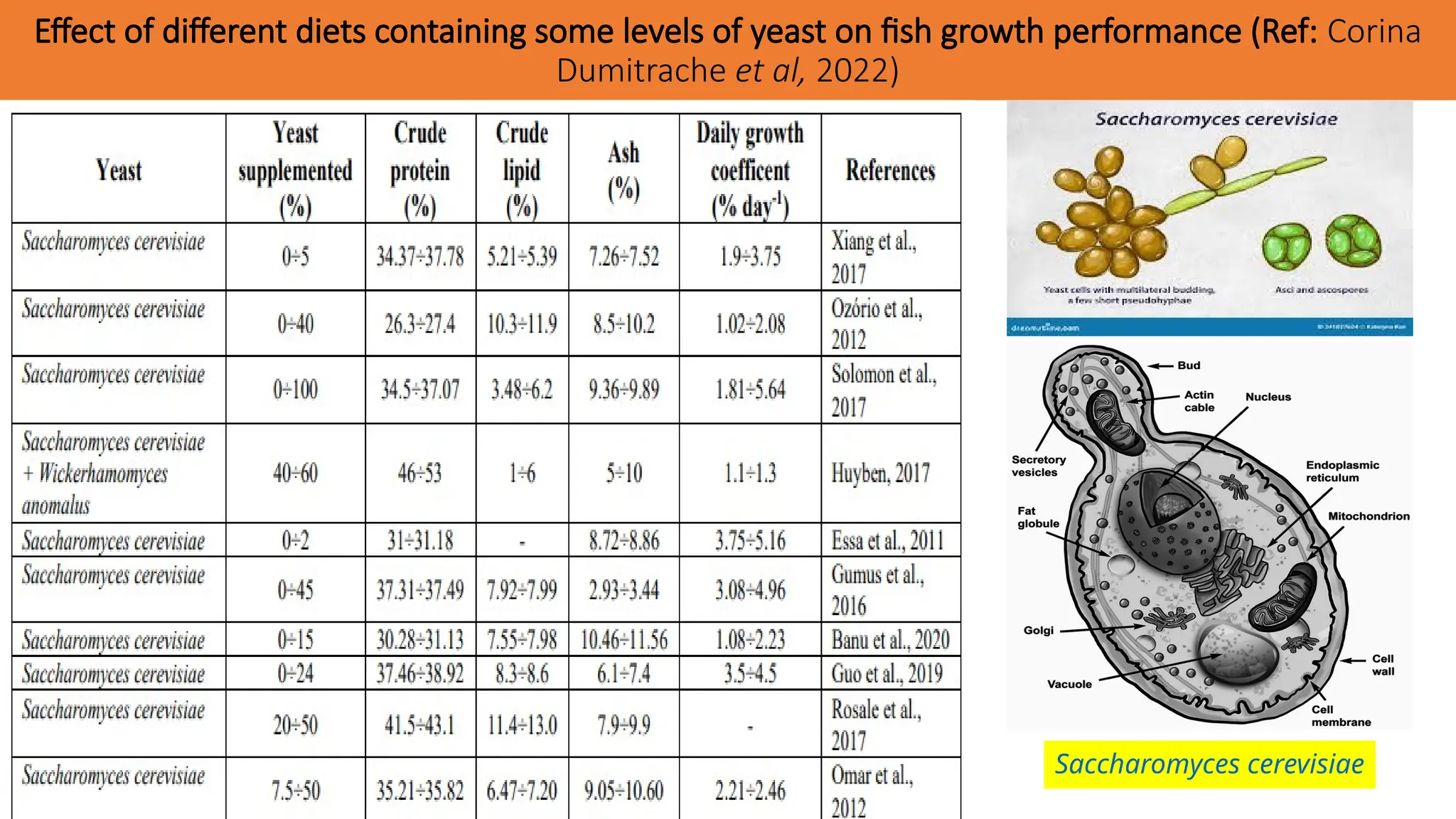Yeast as Potential source of Sustainable fish feed by B.pptx