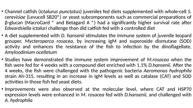 Yeast as Potential source of Sustainable fish feed by B.pptx