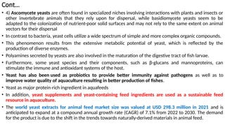 Yeast as Potential source of Sustainable fish feed by B.pptx