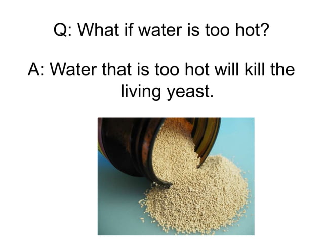 Yeast Breads PowerPoint | PPTX