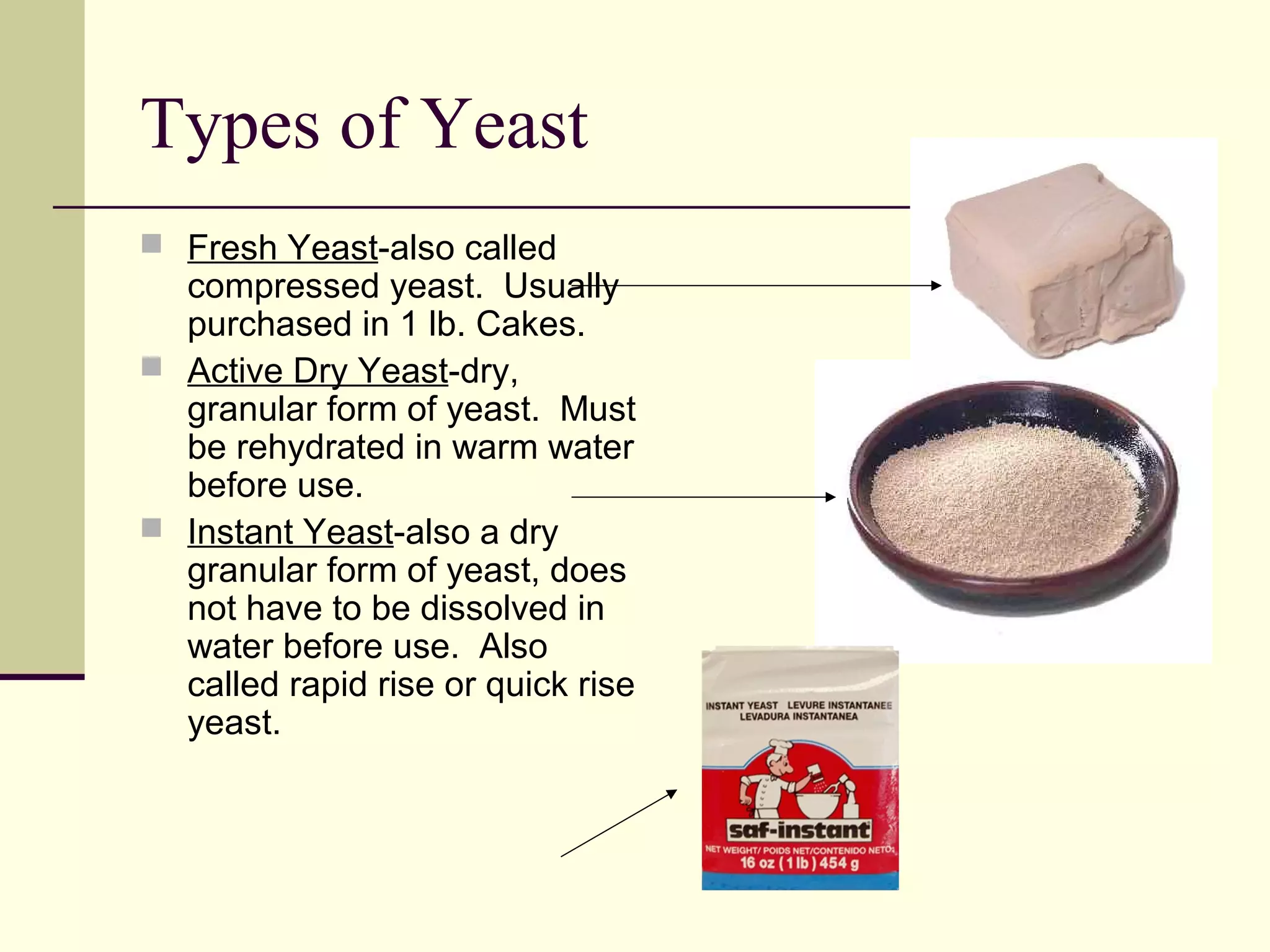 Yeast breads ppt | PPT