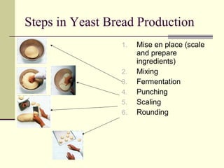 Yeast breads ppt | PPT