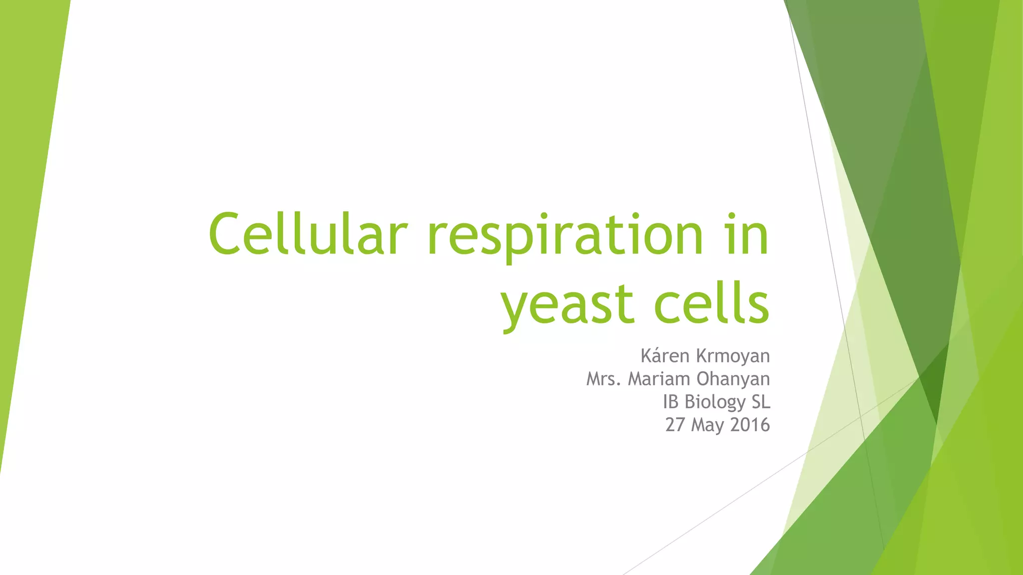 Yeast cellular respiration lab report (karen krmoyan) (1) | PPTX