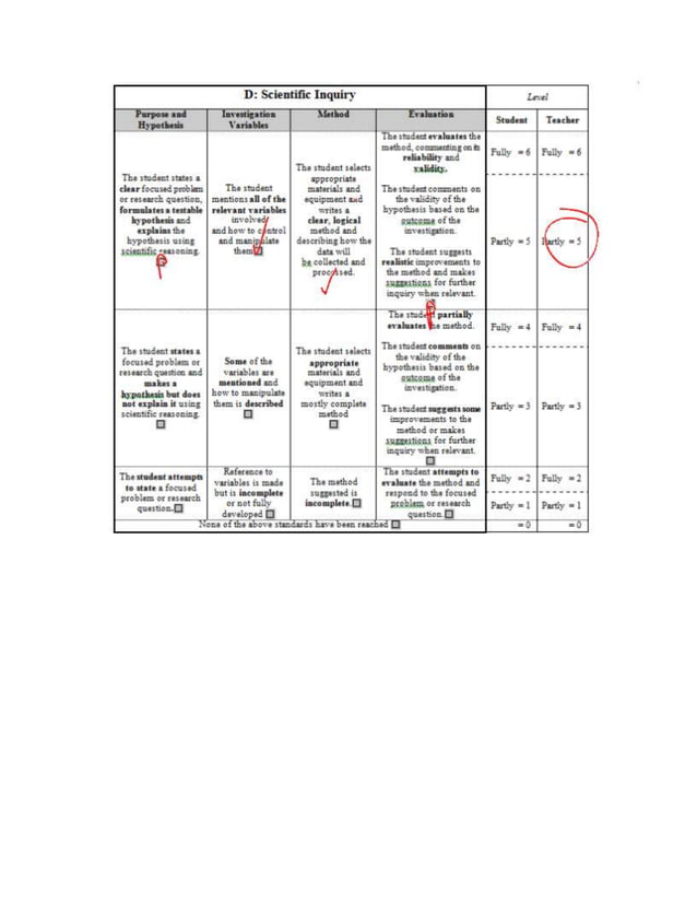 Yeast experiment | DOCX