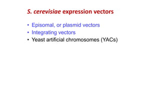 Yeast Expression system class 3.pptx