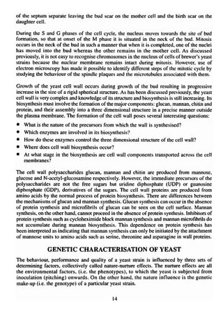 Yeast for beer production | PDF