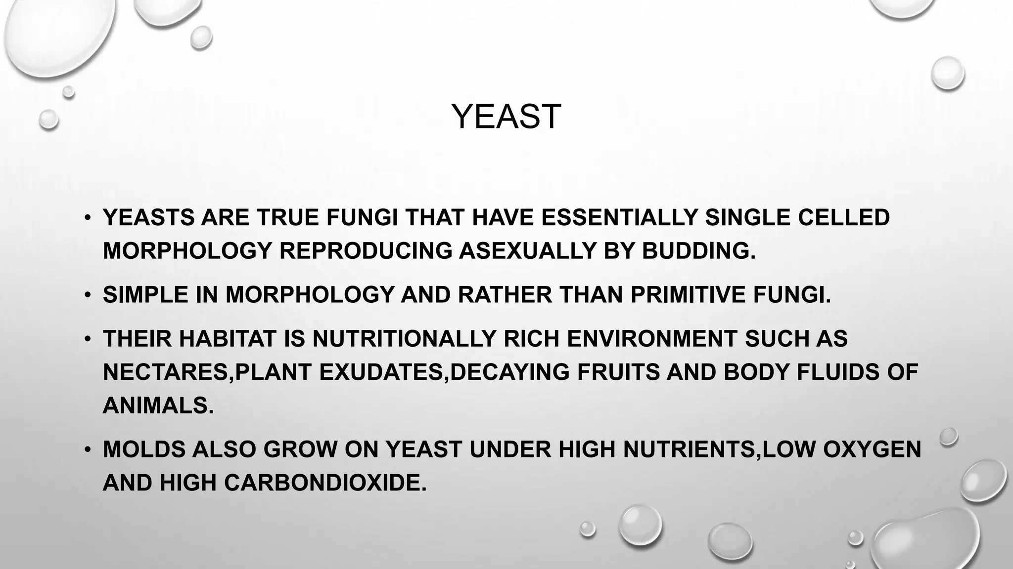 Yeast general characterstics | PPTX